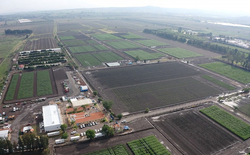 Pro Mexico Industry | Corteva Agriscience invests 1.5 million dollars ...